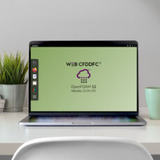 CFD Direct | The Architects of OpenFOAM